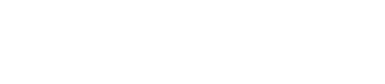 Company – Deepsense